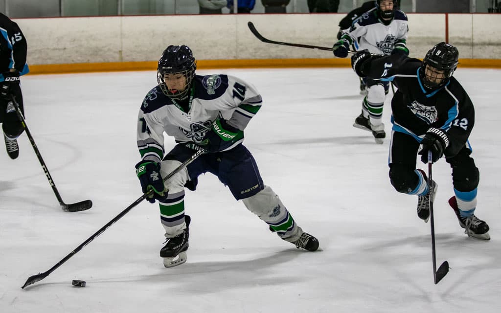 Hockey - Sno-King Ice Arenas